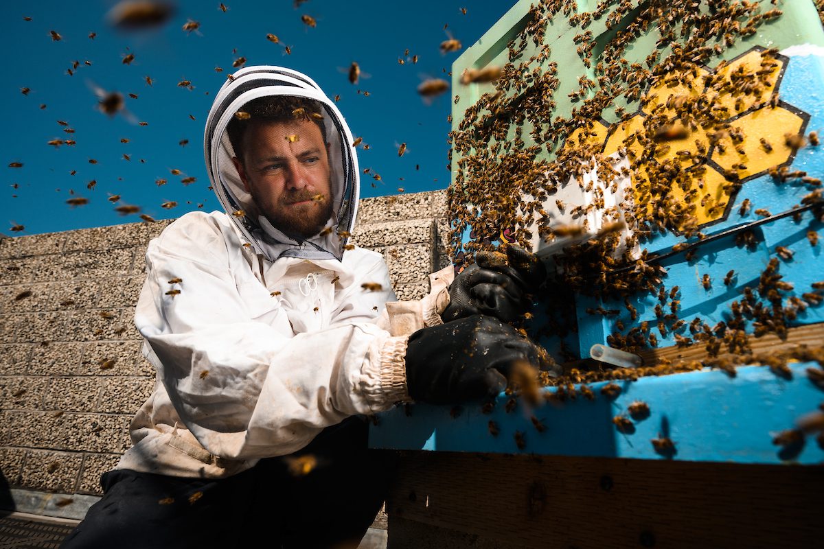 Pollenize - Power to Change